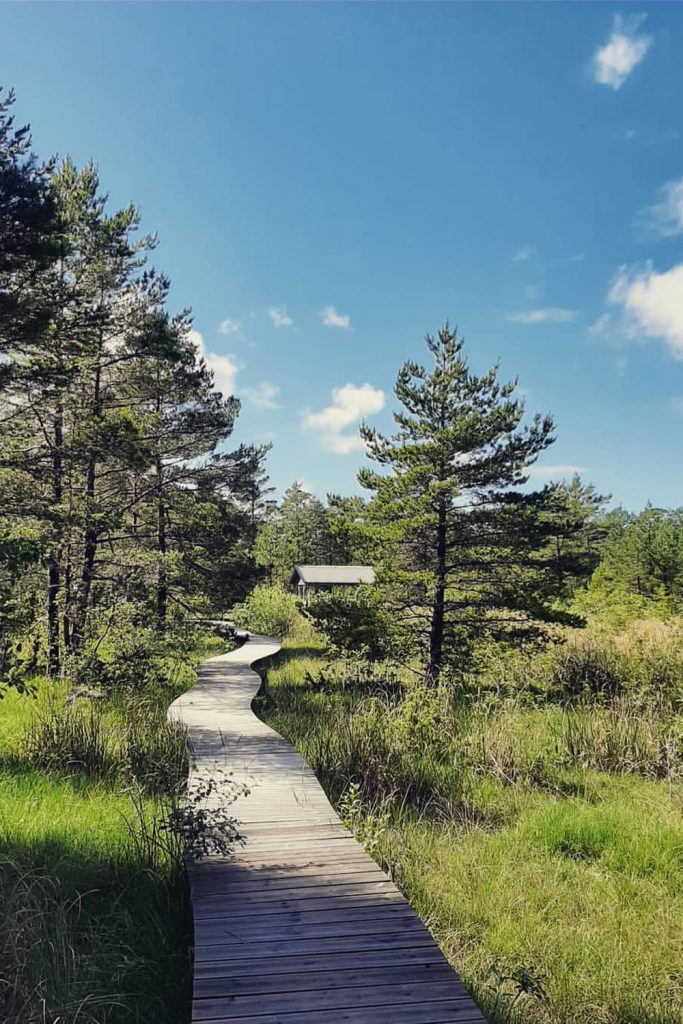 The 10 Best Hotels for a Gotland Island Escape