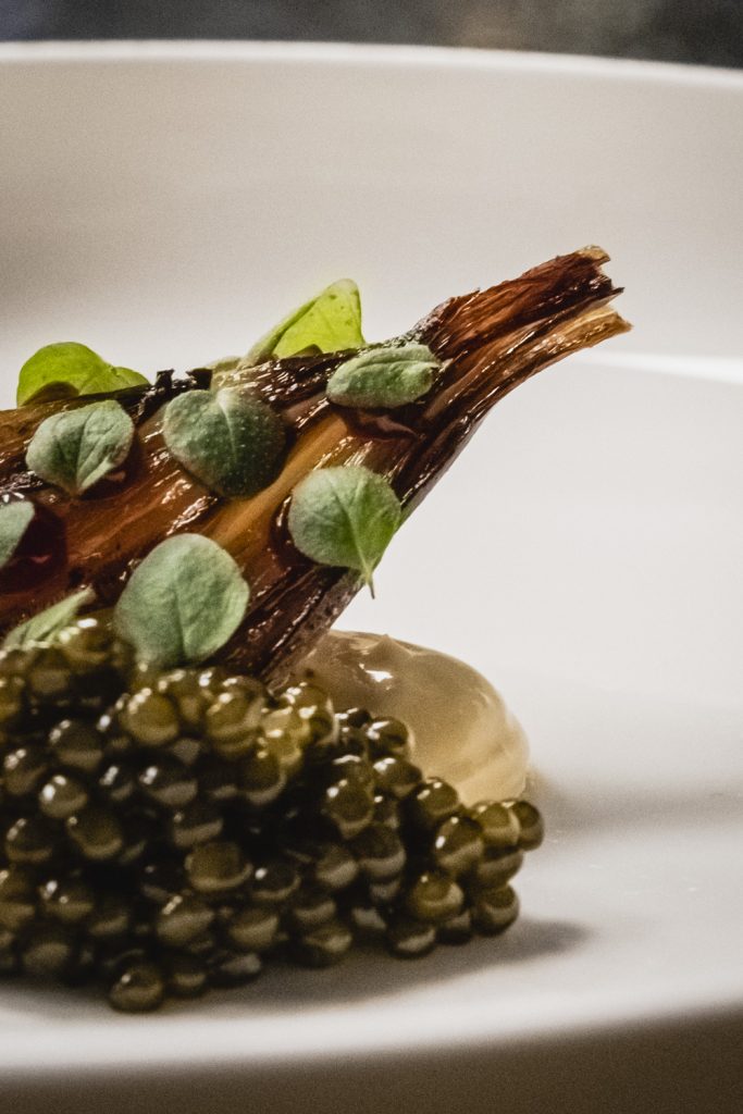 All the Michelin Star Restaurants in Reykjavík and Iceland – 2026 Edition