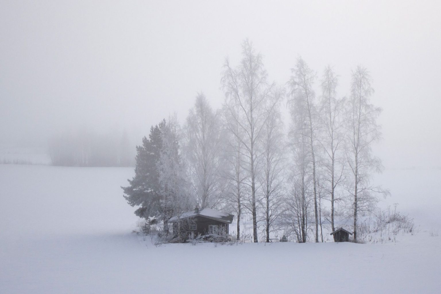 December 6th: The Story Behind Finland’s Independence Day