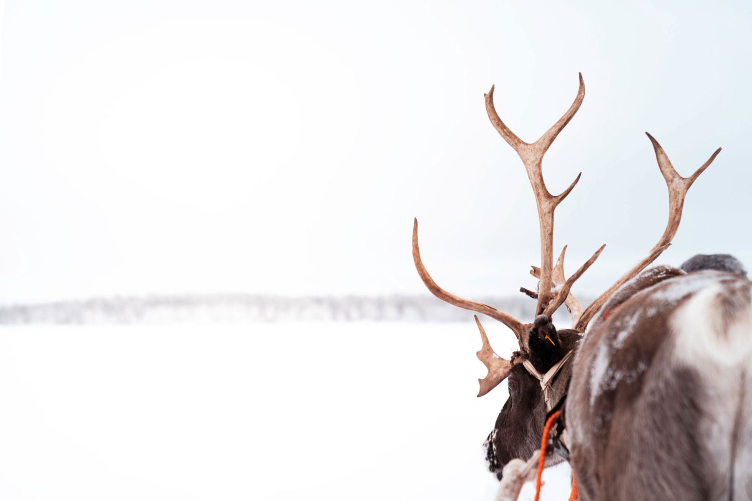 Where and What is Scandinavia? All Questions Answered