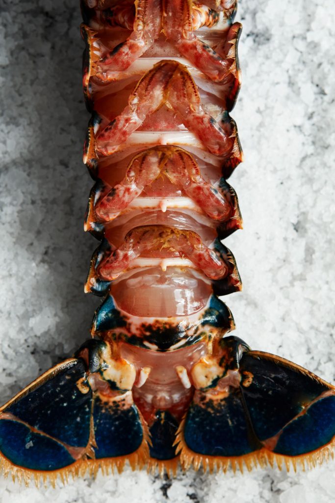 Seafood Gastro in Stockholm, Sweden | Restaurant Review