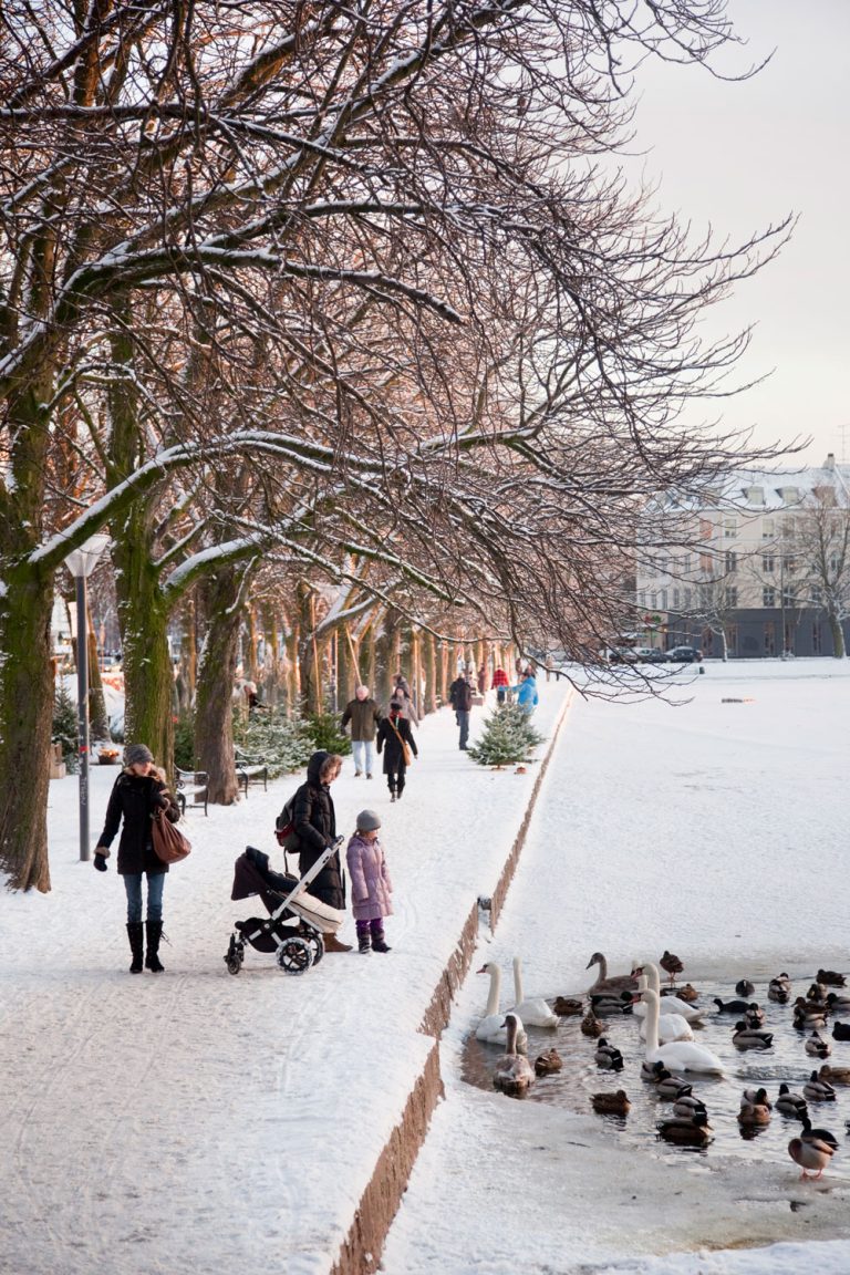 ‘Julefrokost’ Traditions: What Makes Danish Christmas Lunch Special